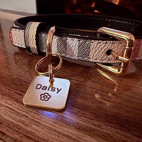 Dog Tag, Shield Dog Tag, Brass Dog Tag, Pet ID Tags, Personalized Dog ...