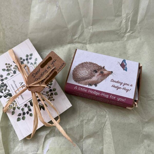 Hedgehog Gift, Pocket Hug, Hug in a Box, Matchbox Gift, Letterbox Gift ...
