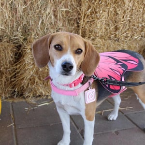 Graduation Photo Frame Fridge Magnet, Graduation Gift, Thank You for ...