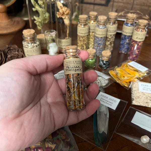 Petite Rosebuds in Glass Vial, Dried Flowers, Natural History, Floral ...