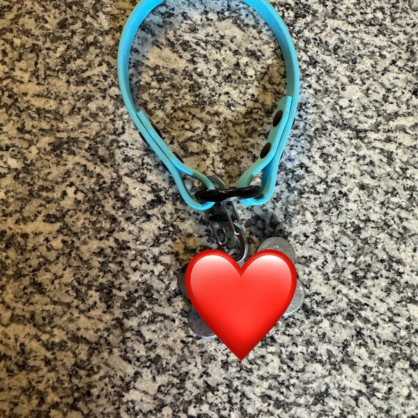 Funny Sayings Tag, Lightweight Tag, Funny Tag, Fun Dog Tag, Aluminum ...