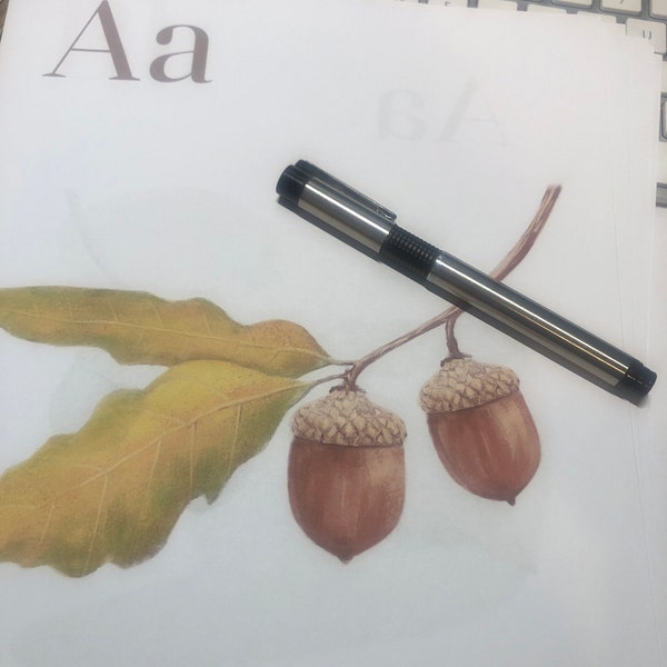 Woodland ABC Cards, Animal Alphabet Cards, Nature Themed Alphabet Cards ...