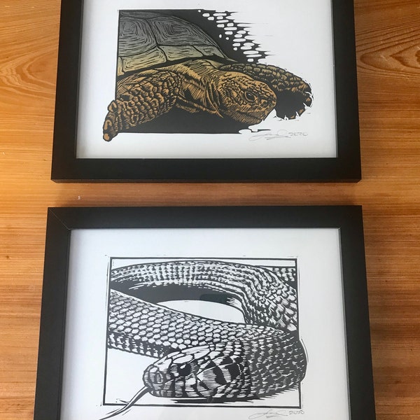 Mini Eastern Indigo Snake, Original Linocut Art Print, 8 X 8" - Etsy