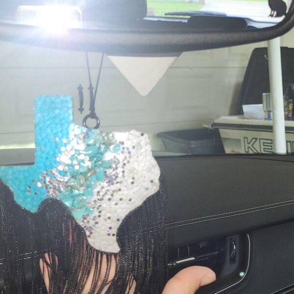 Leopard Cactus Car Freshie, Custom Car Freshie, Air Freshener - Etsy