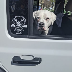 Custom Pet SVG Files digital - Etsy