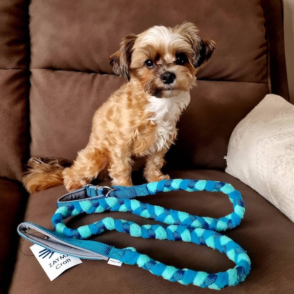 Braided Fleece Leash 3-in-1 – Perfect for Agility Starts - Etsy