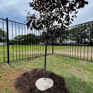 Personalized Planted in Loving Memory Flat Garden Stone, Memorial ...