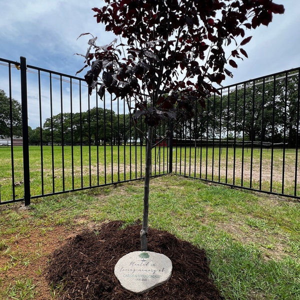 Personalized Planted in Loving Memory Flat Garden Stone, Memorial ...