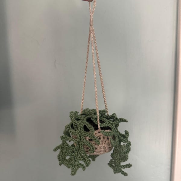 Pothos Plant Crochet Pattern, Sunflower Basket Mix Crochet Pattern ...