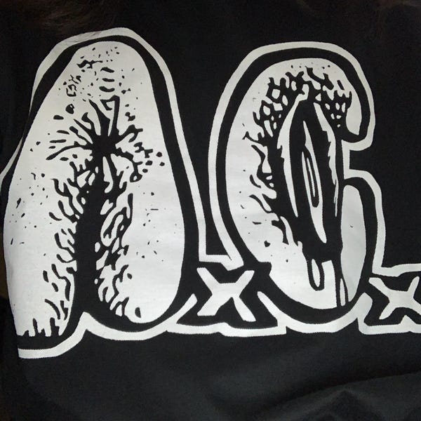 DISCLOSE - 'band Singer' Shirt-punk, Japan, D Beat, Dis-fear, Mob 47 ...