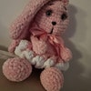 2in1 Crochet Bunny Toy Pattern Crochet Rabbit Amigurumi Pattern Crochet ...