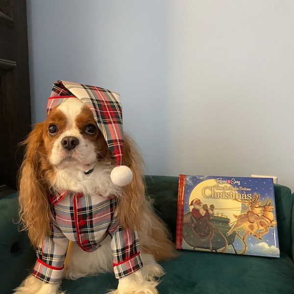 Dog Buffalo Plaid Pjs, Tartan Pajamas, Puppy Shirts, Puppy Pjs Shirt ...