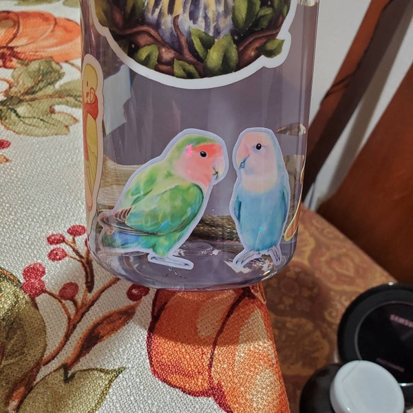 Conure Stickers / Cute Conures / GCC Green Cheek / Green Cheek Conure ...