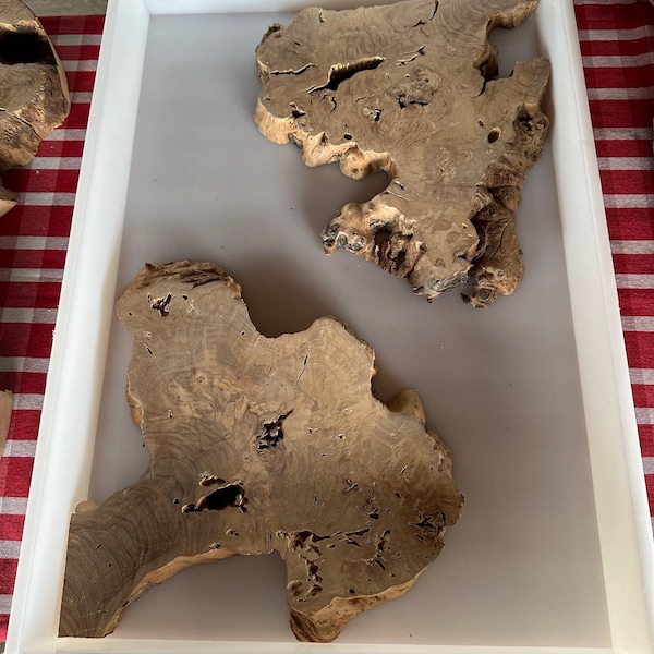 Kiln Dried Olive Root Burl Wood Slab: Epoxy Resin Table Ready - Etsy