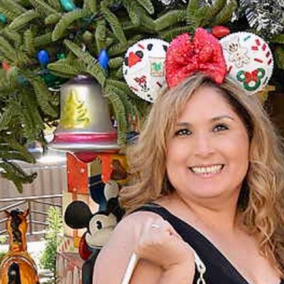 Christmas Mickey and Minnie Treats Inspired Mouse Ears Mickey Ears ...