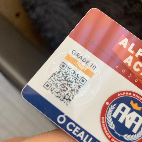 Color Portfolio Book - TUFTEX, Sempertex, Kalisan, Gemar Balloons - Etsy