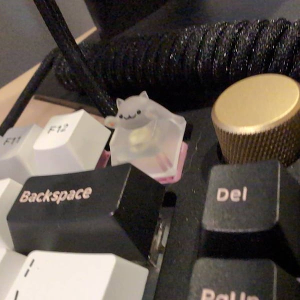 Catty Keycap (bongo Cat Meme Inspired) - Bongo Cat Keycap - Artisan ...