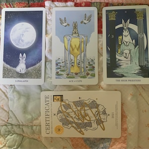 Lunalapin Tarot & Oracle 2in1 Deck 2022 Unique Indie Tarot Deck for ...