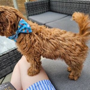 The Crafty Dog Co Can't Stop the Tealin' Rope Lead Teal - Etsy