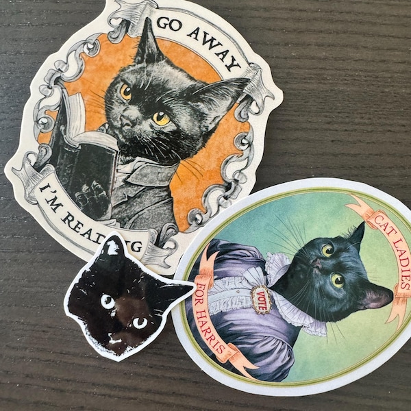 Reading Cat Sticker, Kindle Sticker, Book Cat Sticker, Black Cat ...