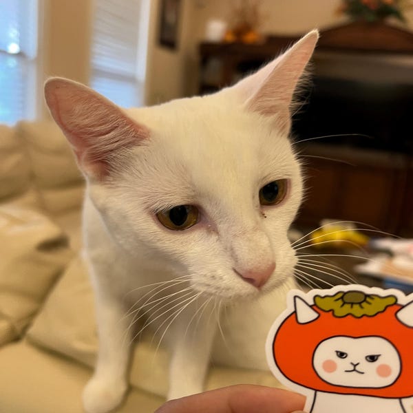 Nct Dream Customizable Concert Ticket Holo Stickers Aesthetic Cute Kpop ...