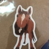 Customizable Horse Sticker Personal Decal Gift for Equestrian Handmade ...