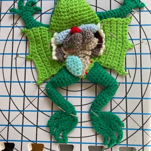 Crochet Dissected Frog PDF PATTERN ONLY Amigurumi Wall - Etsy Singapore