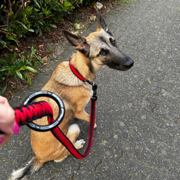 Crossbody Climbing Rope Dog Leash, Hands Free Dog Leash With Custom ...