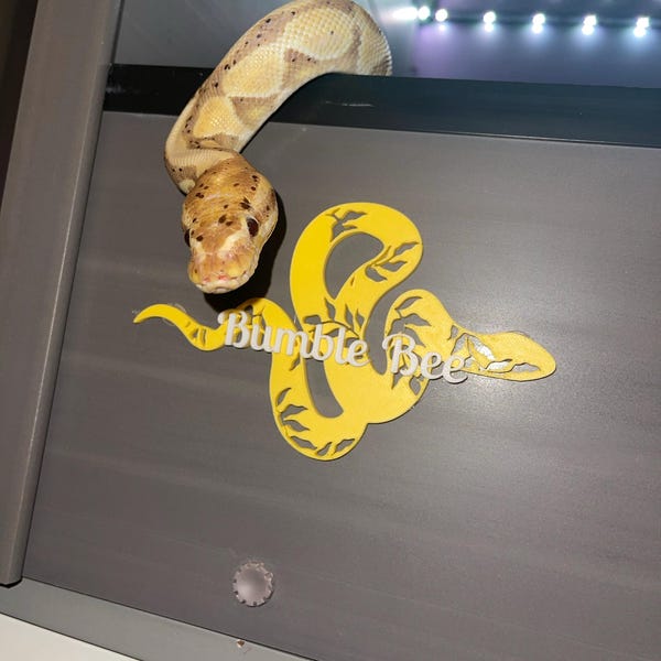 Custom Reptile Hide/snake Hide/ Gecko Hide/customizable - Etsy