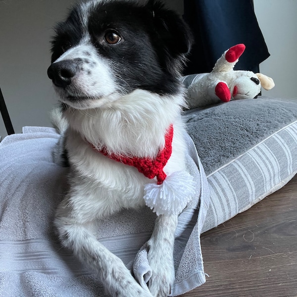 Christmas Dog Scarf With Pompom - Available in 4 Colour Schemes - Santa ...
