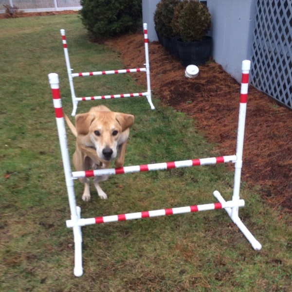 Dog Agility Jump Cups - 1" PVC, Set of 10 - Etsy
