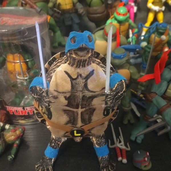 Full Body Turtle Taxidermy- French Horn-playing Tortoise Mariachi Toad ...