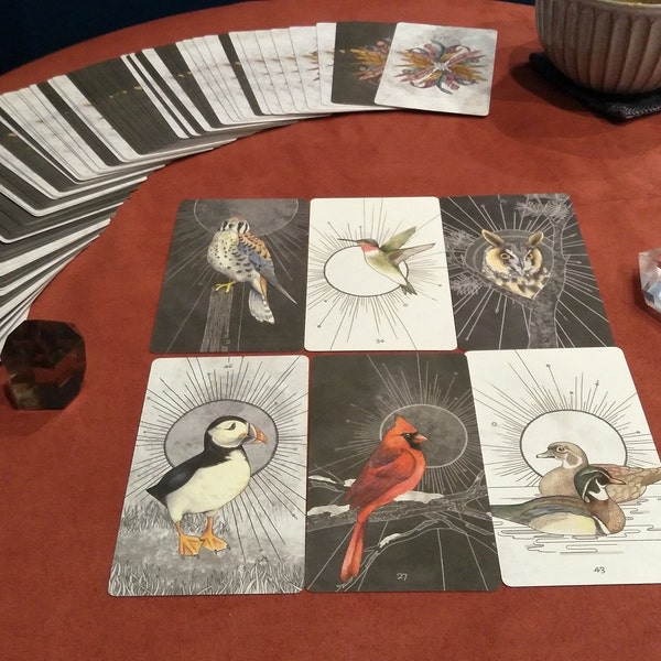 Birds Oracle Deck 2 WITH Additional Box - Etsy