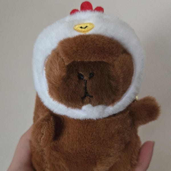 Dumpling Plush Bao With Free Sticker Sheets Lunar New Year Cute Kawaii ...