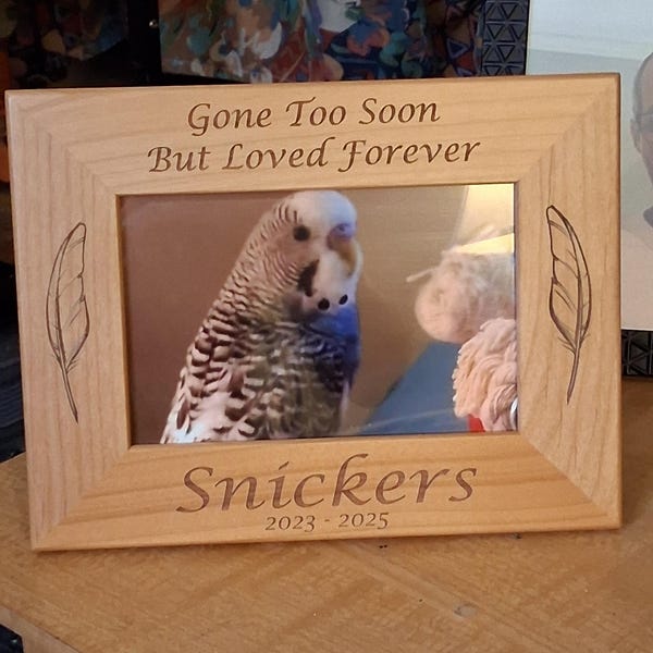 Bird Memorial, Photo Frame, Parrot, Parakeet, African Grey, Amazon ...