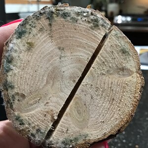 Aspen Risers, Reclaimed Risers, Log Risers, Aspen Risers, Table Decor ...