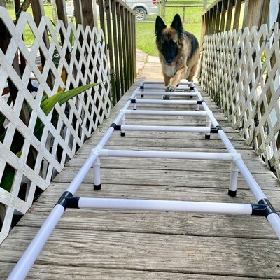 Better Sporting Dogs Agility A-frame Dog Agility Equipment Dog Agility ...