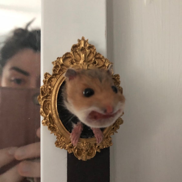 Taxidermy Mouse Head Mount Trophy Tiny Mouse Magnetic Victorian Black ...