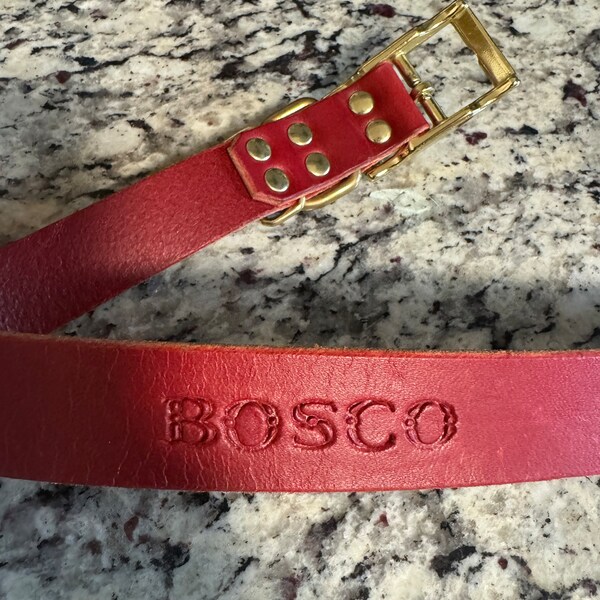 Personalized Red Leather Dog Collar, Brass / Gold Tone Buckle, With ...