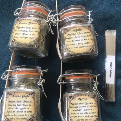Nettle Herb & Jar - Etsy