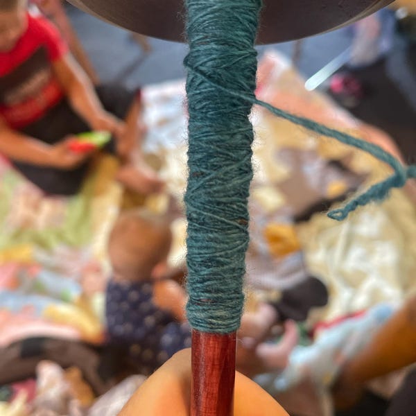 Polly Want A Cracker Hand Dyed, Fingering Sock Yarn, Superwash, Hand ...