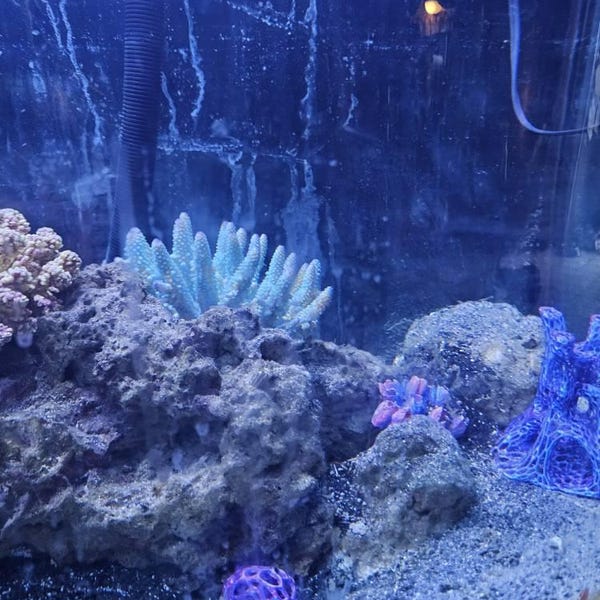 Abstract Stone Arch Aquarium Decoration - Etsy