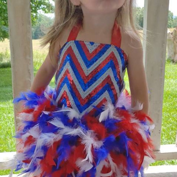 White Swan Iridescent Sequin Girls Feather Pageant Tutu Dress, Girls ...