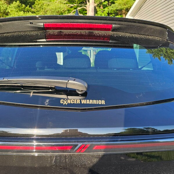 Handicapable Funny Funny Vinyl Decal Stickers Click to Explore Colors ...