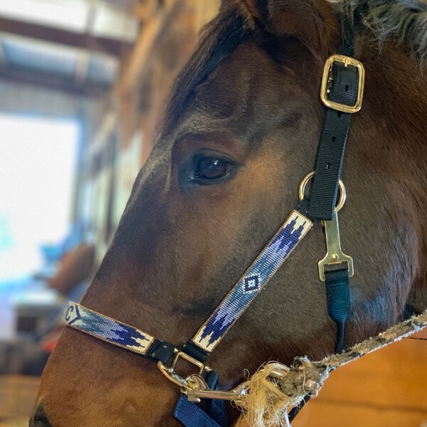 Personalized Beaded Horse Halters - Etsy