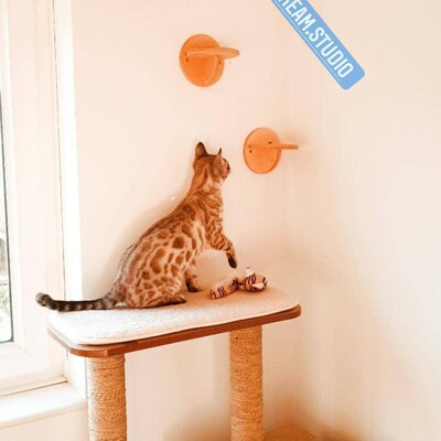 Large Wall Mounted Cat Bridge Lounge Platform Built Solid Wood and ...