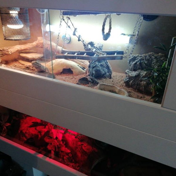 4ft White Modern Reptile Vivarium - Includes LED Light - Etsy UK