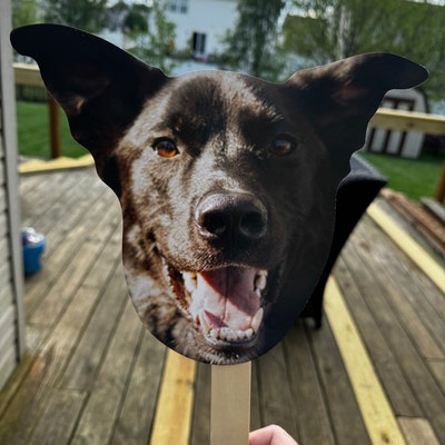 Face on A Stick Digital File Party Favor Face Fan Sports Game ...