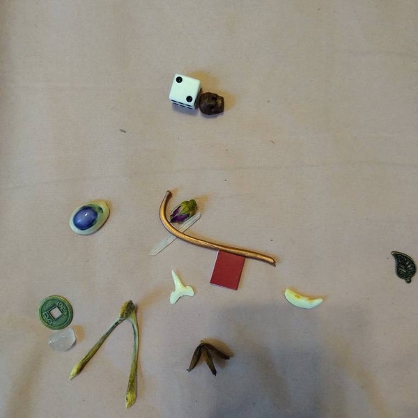 Bone Throwing Kit, Starter Kit for Throwing Bones, 15-20 Pieces ...