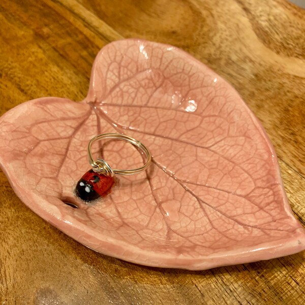 Tiny Sweet Heart Shaped Forget-me-not Leaf With Ladybug Real Leaf Used ...